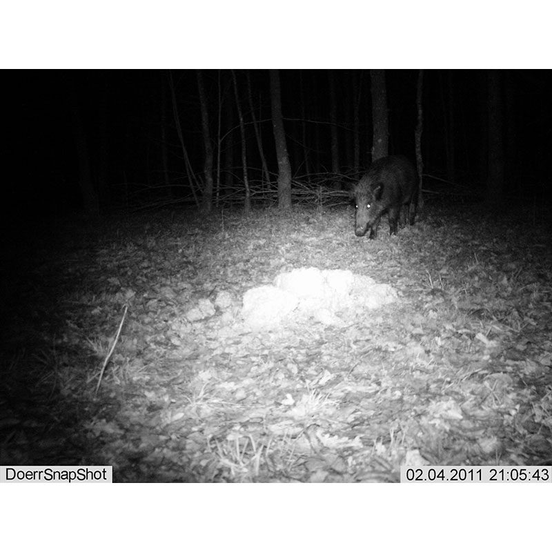 Dörr SnapShot PRO Camouflage Wildcamera