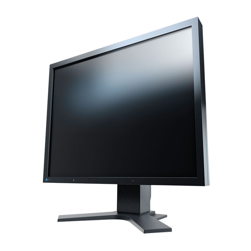 Eizo S2133-BK 21.3 inch monitor