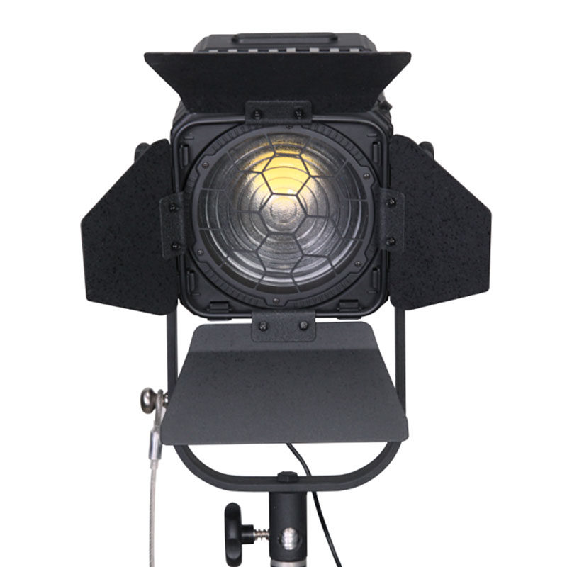Ledgo LG-D600 LED Fresnel Studio Light