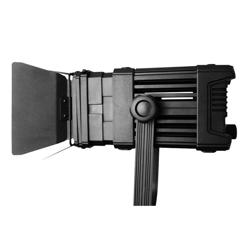 Ledgo LG-D600 LED Fresnel Studio Light