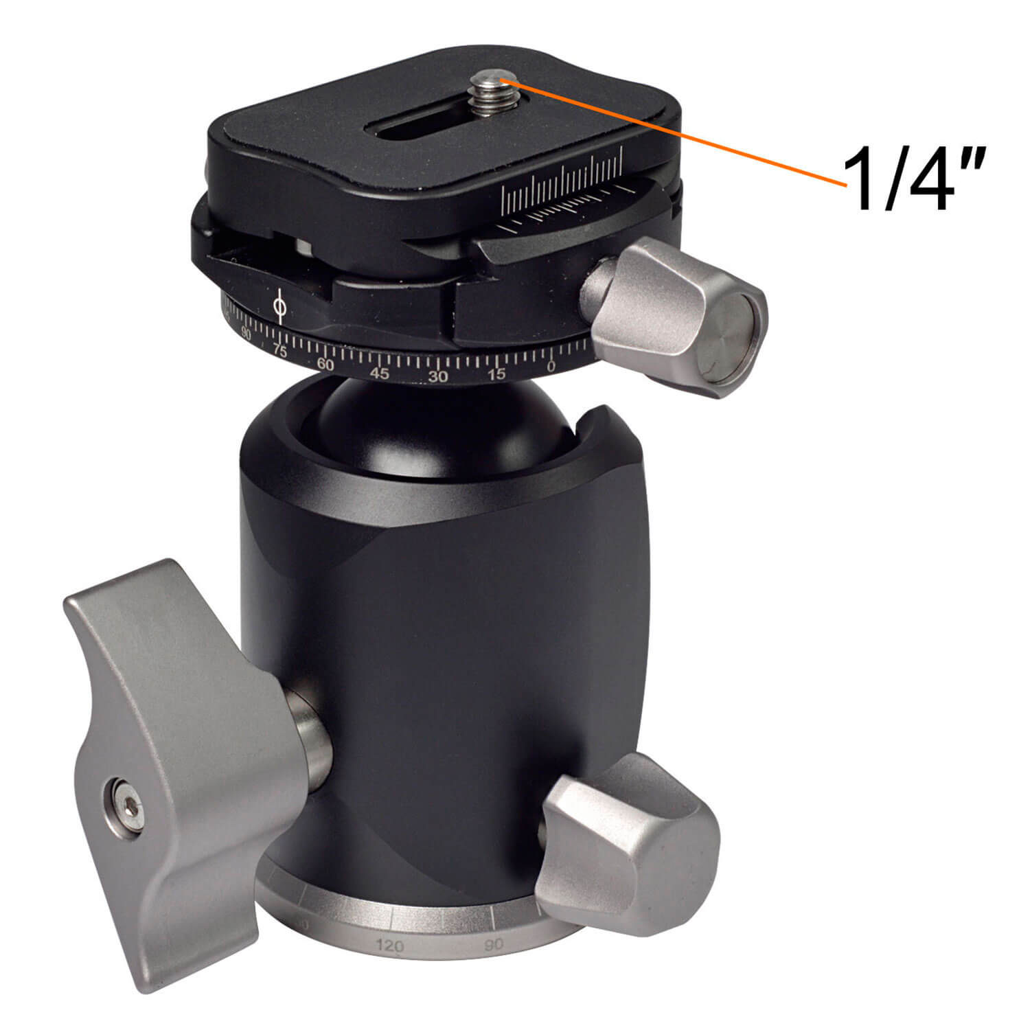 Caruba X-36 Balhoofd Grijs kopen? | CameraNU.nl