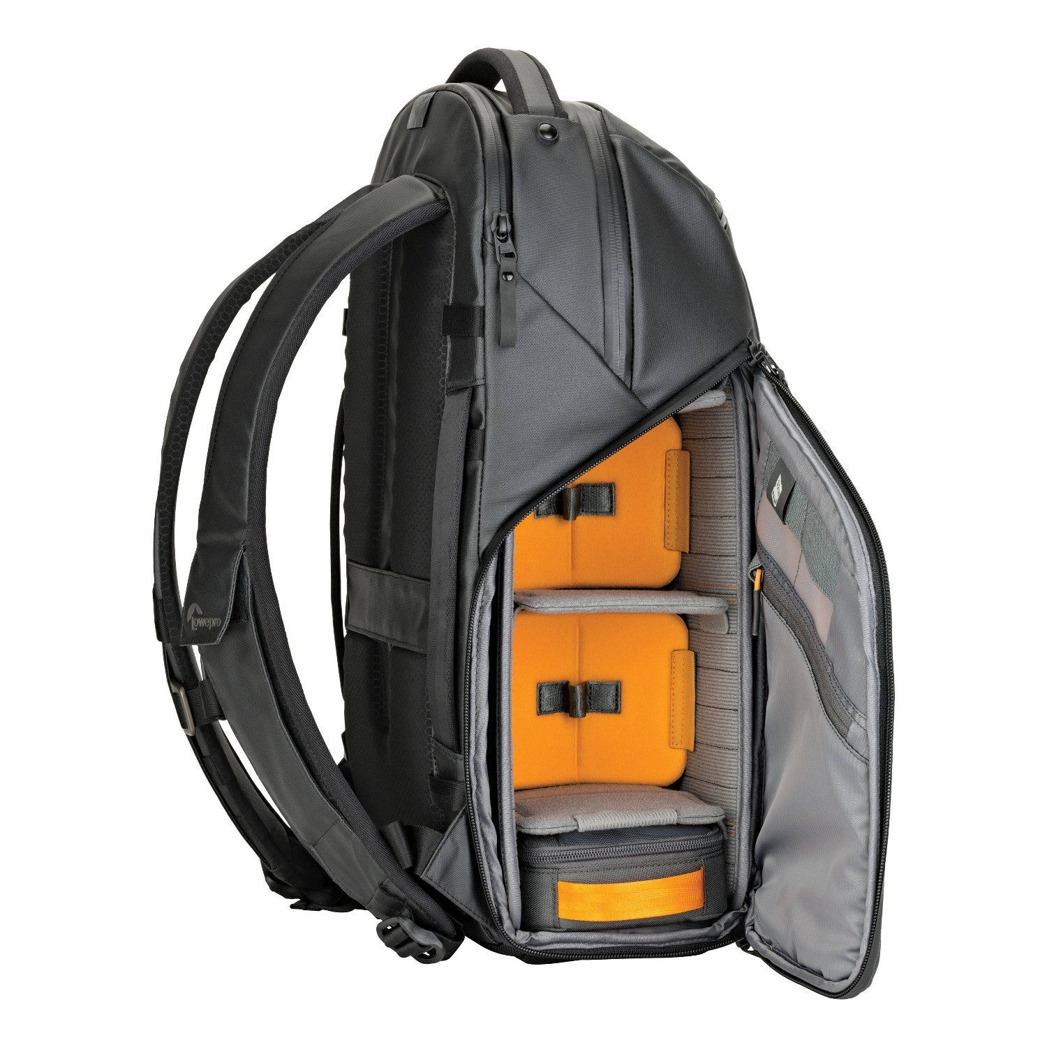 Lowepro FreeLine BP 350 AW rugzak Grijs kopen? | CameraNU.nl