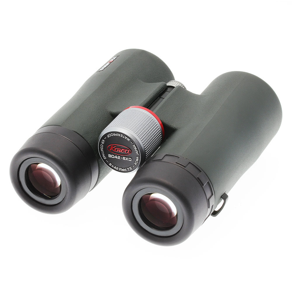 Kowa BD42 XD 10x42 verrekijker kopen? | Cameranu