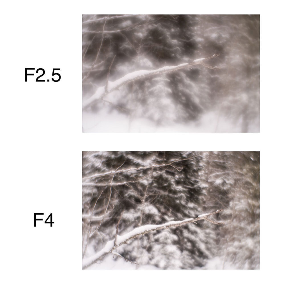 Lensbaby Fixed Body Soft Focus II 50 Sony E | Cameranu