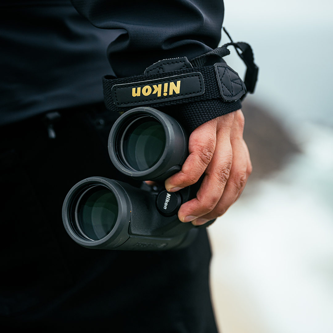 Nikon Prostaff P7 10x42 verrekijker kopen? | Cameranu