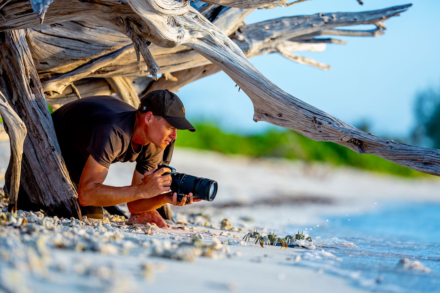 Panasonic Lumix DC-S1R Mark II Body Zwart kopen? | Cameranu